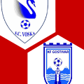 Spielereignisse | FK Voska Sport - KF Gostivar 1:1 | 33. Spieltag ...
