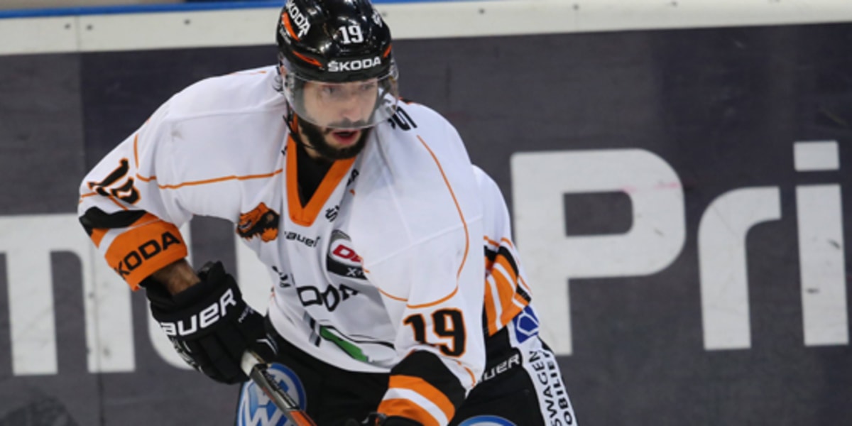 Rosa verlängert bei den Grizzly Adams | Eishockey - kicker