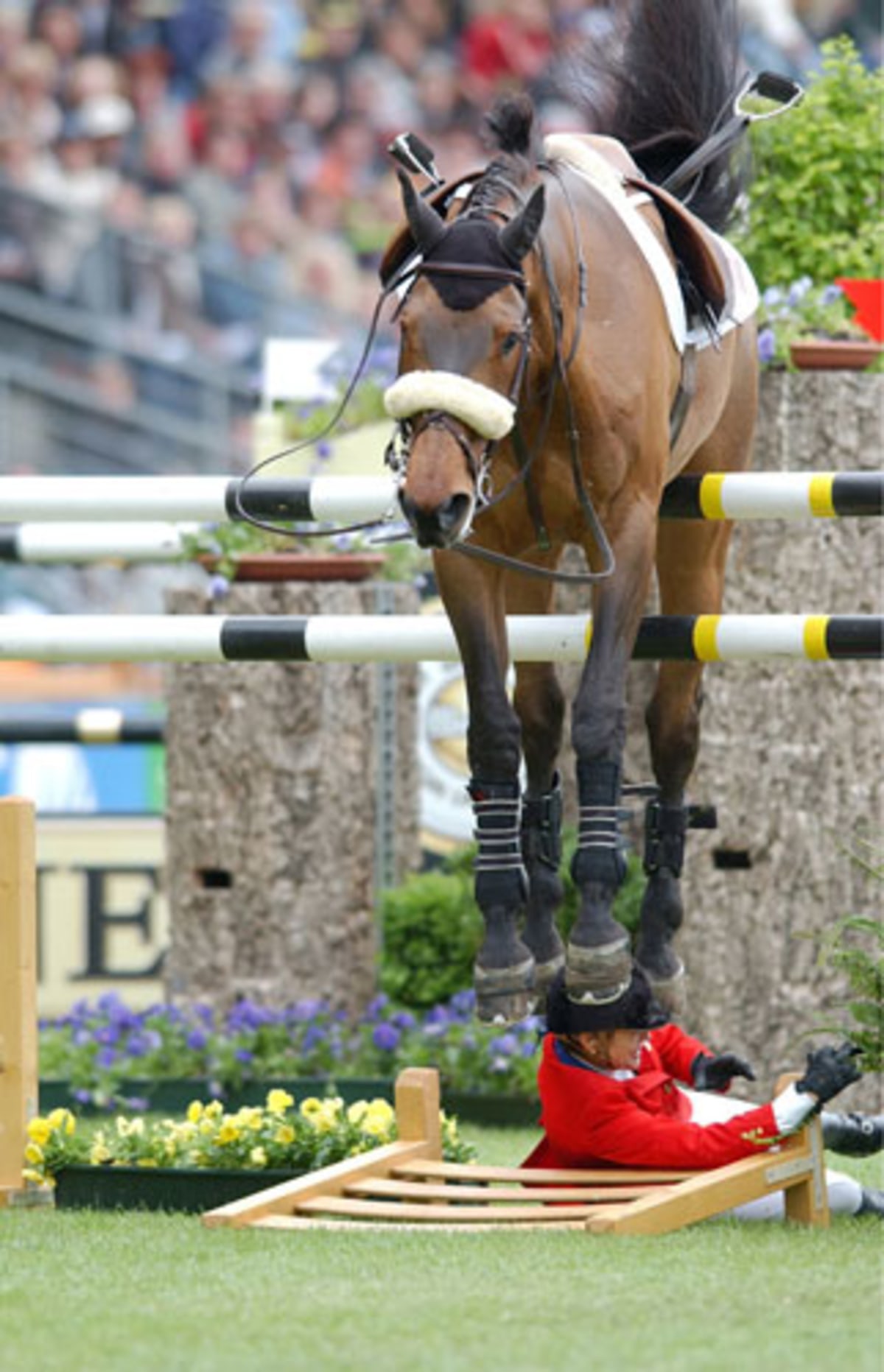 Die Siegerfotos - kicker | Bildergalerie - kicker