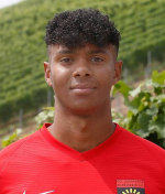 Niklas-Wilson Sommer | Laufbahn | Spielerprofil - kicker