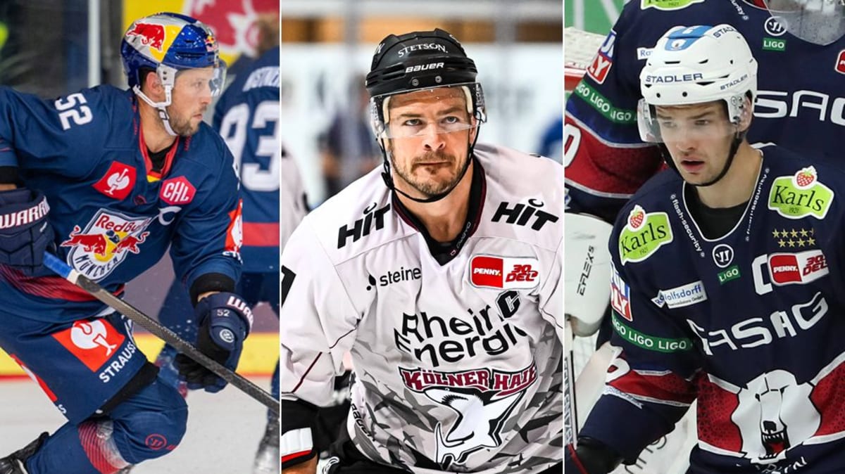 Wer führt die DEL-Teams an? Sechs Neue und nur zwei Urgesteine - kicker