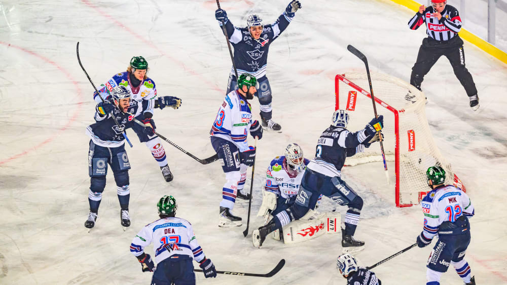 Bilder | Dresdner Eislöwen - Eisbären Berlin 2:3 | 39. Spieltag | DEL ...