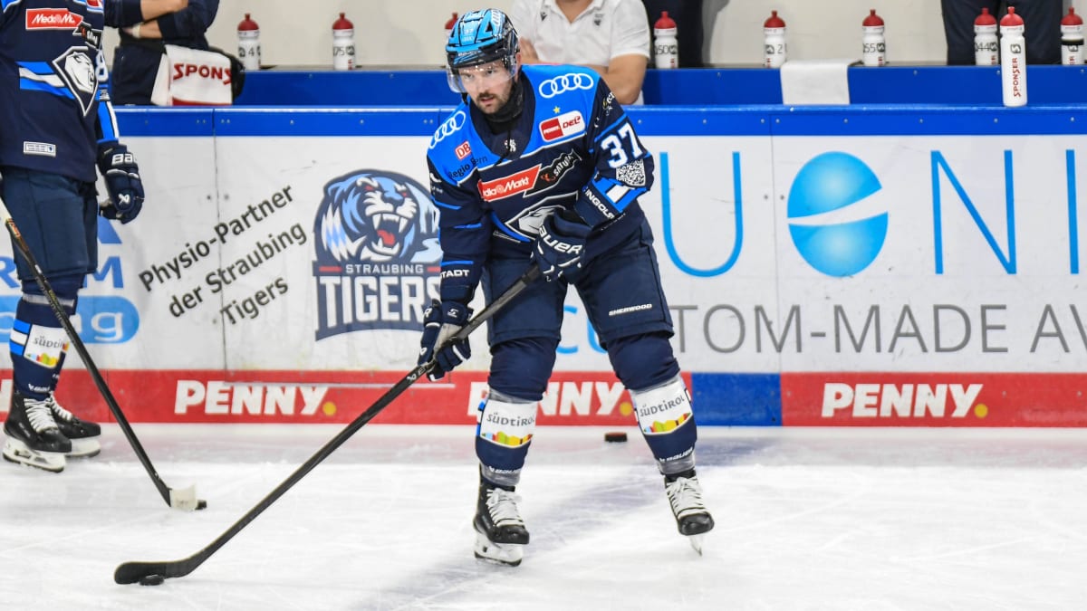 Fünf Verfolger auf Jagd nach den Eisbären - kicker