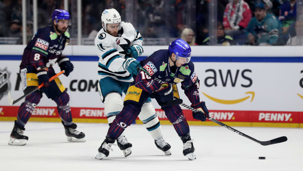 Live Del Champion Berlin Trifft Auf Nhl Klub San Jose Kicker