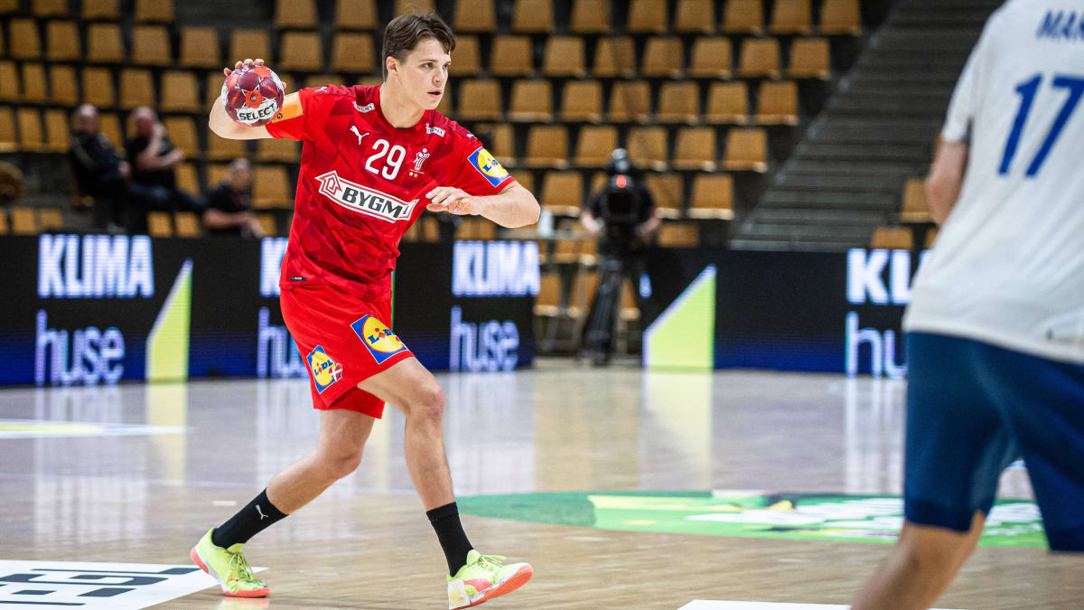 Handball: Vizemeister Flensburg-Handewitt verpflichtet Aaron Mensing ...