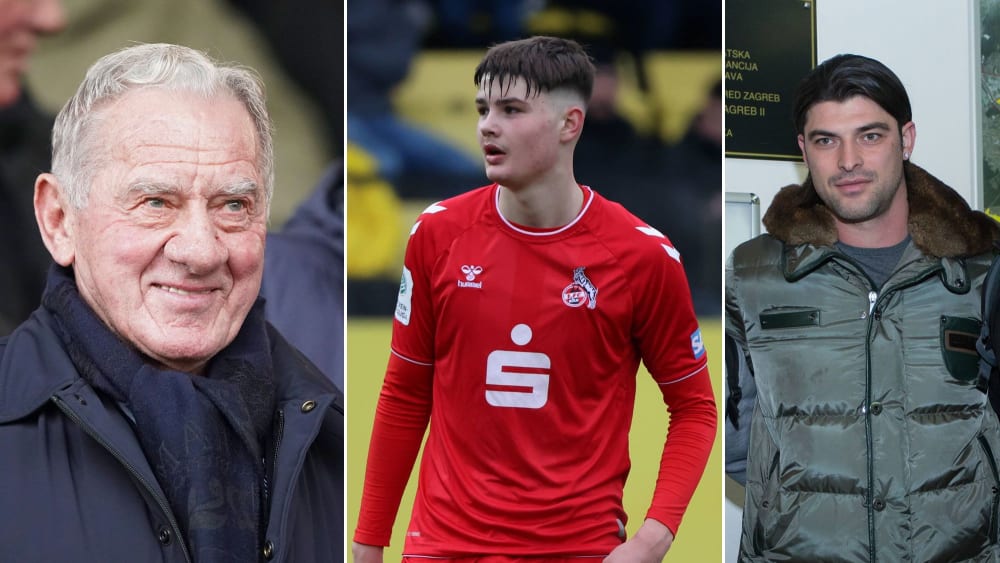 Kölns Transfersperre: Hinter den Kulissen der Potocnik-Affäre - kicker