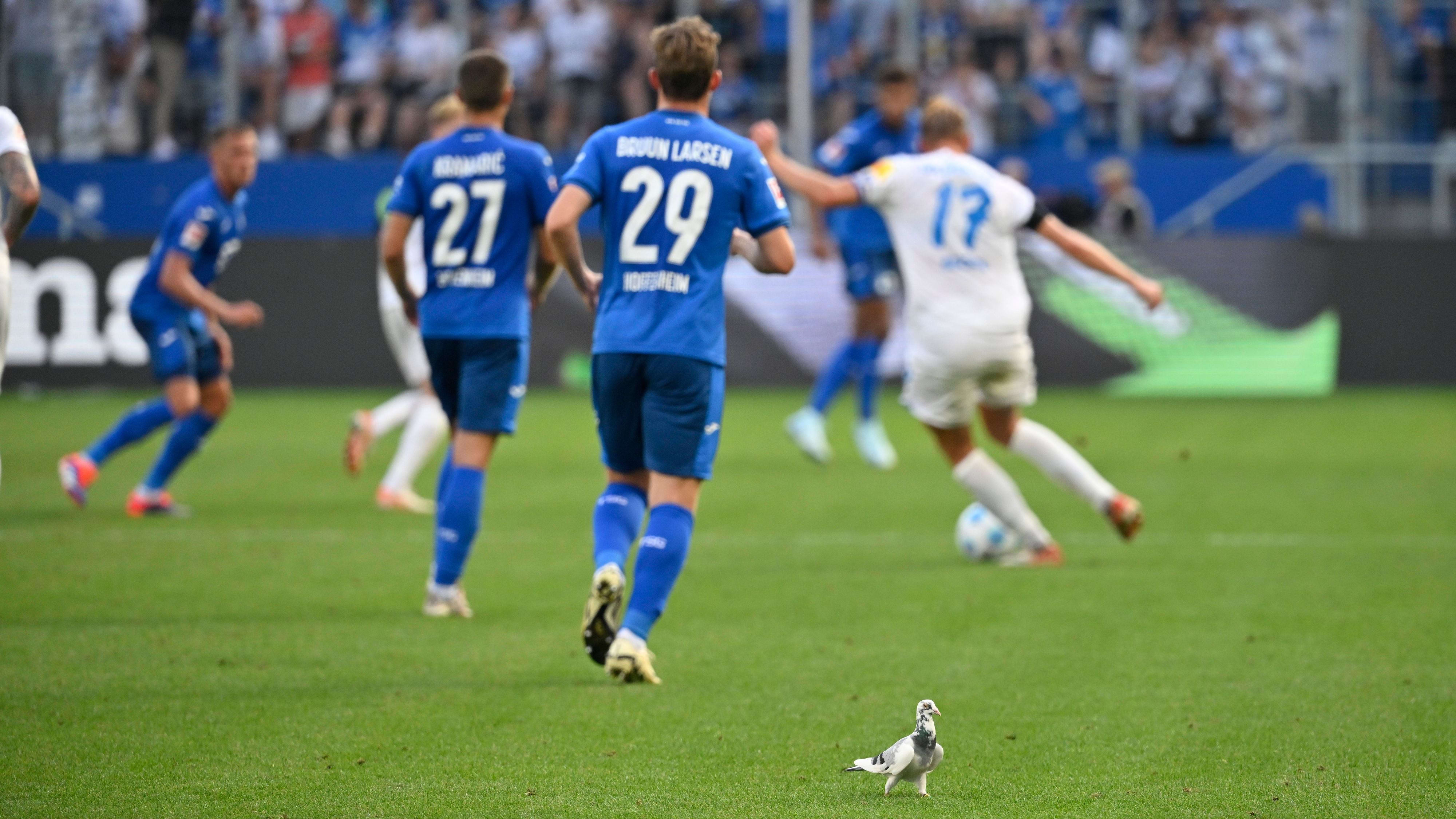 Liveticker | TSG Hoffenheim - Holstein Kiel 3:2 | 1. Spieltag ...