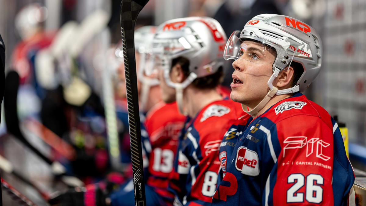 Ice Tigers verlängern Vertrag mit Lobach - kicker