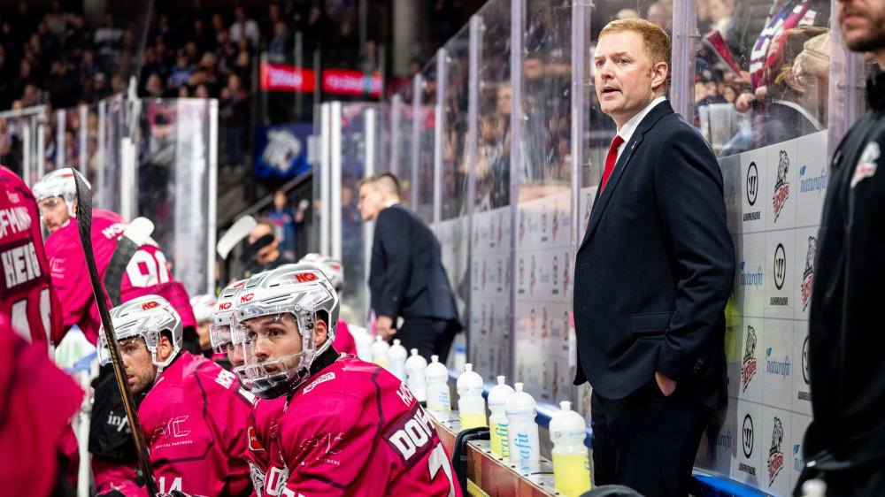 Nürnberg Ice Tigers verlängern mit Trainer Mitch O'Keefe - kicker
