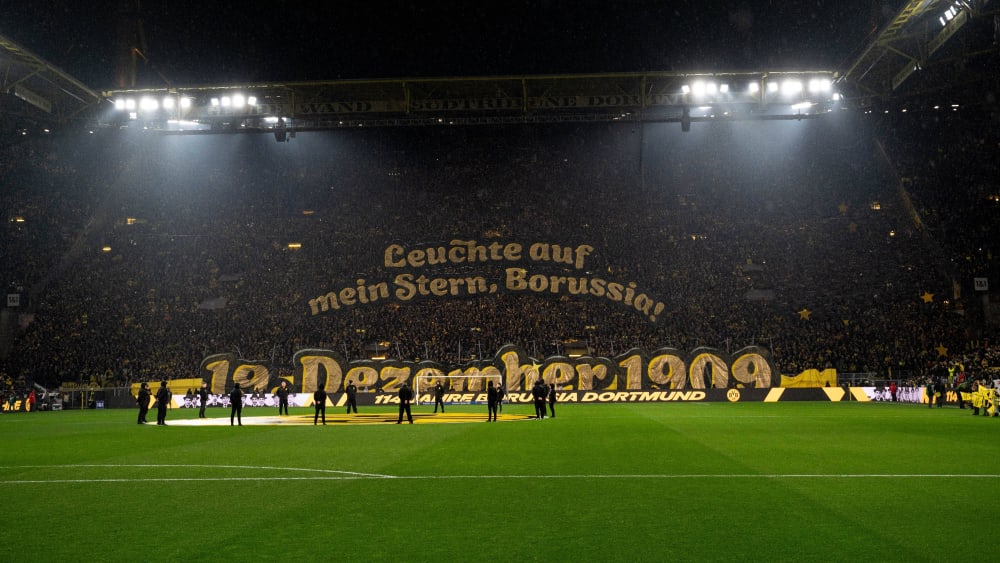 Bilder | 1. FSV Mainz 05 - Borussia Dortmund : | 33. Spieltag ...