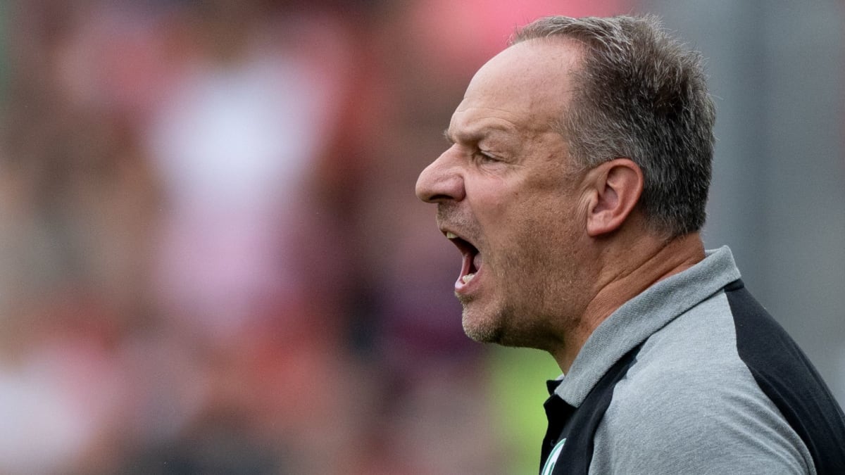 Hallescher FC: Berko für zwei Pokalspiele gesperrt - kicker