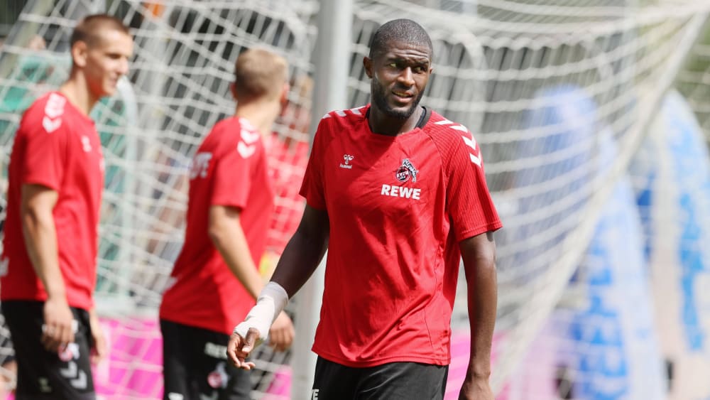 BVB steht offenbar vor Verpflichtung von Modeste - kicker