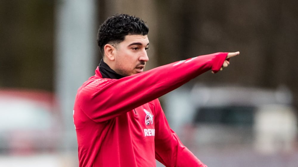 Limnios: Die "nächste Personalie" für Baumgart - kicker