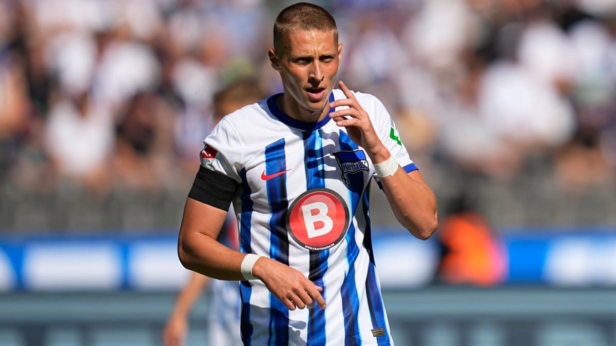 Palko Dardai fehlt Hertha BSC "bis auf Weiteres" - kicker