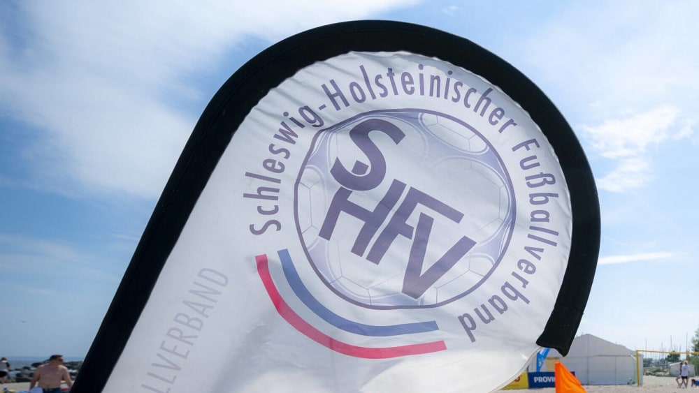 SHFV: "Meister" und "Vize" steigen auf, keiner steigt ab - kicker