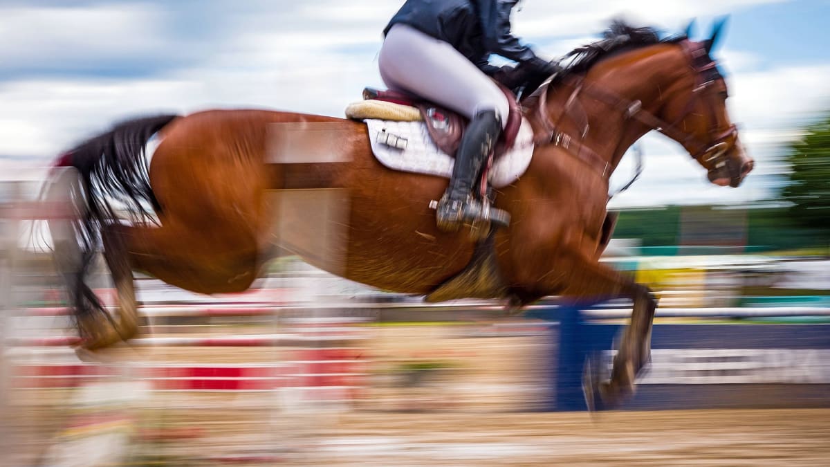 Reitsport: Nachwuchs-Springreiterin Madlen Boy (19) stirbt - kicker