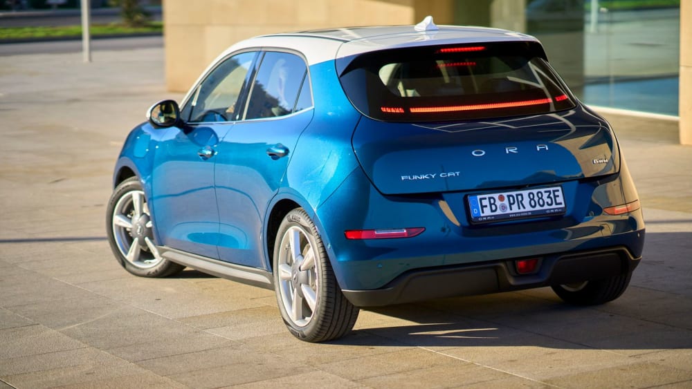 Bilderstrecke: Ora Funky Cat - kicker