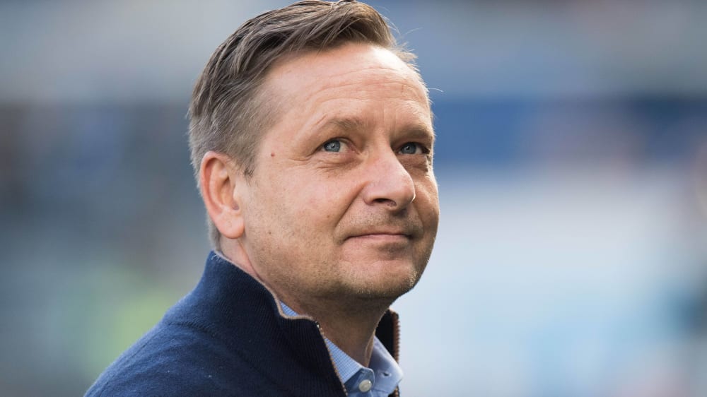 Neues Führungsduo: 1. FC Köln setzt auf Gisdol und Heldt - kicker