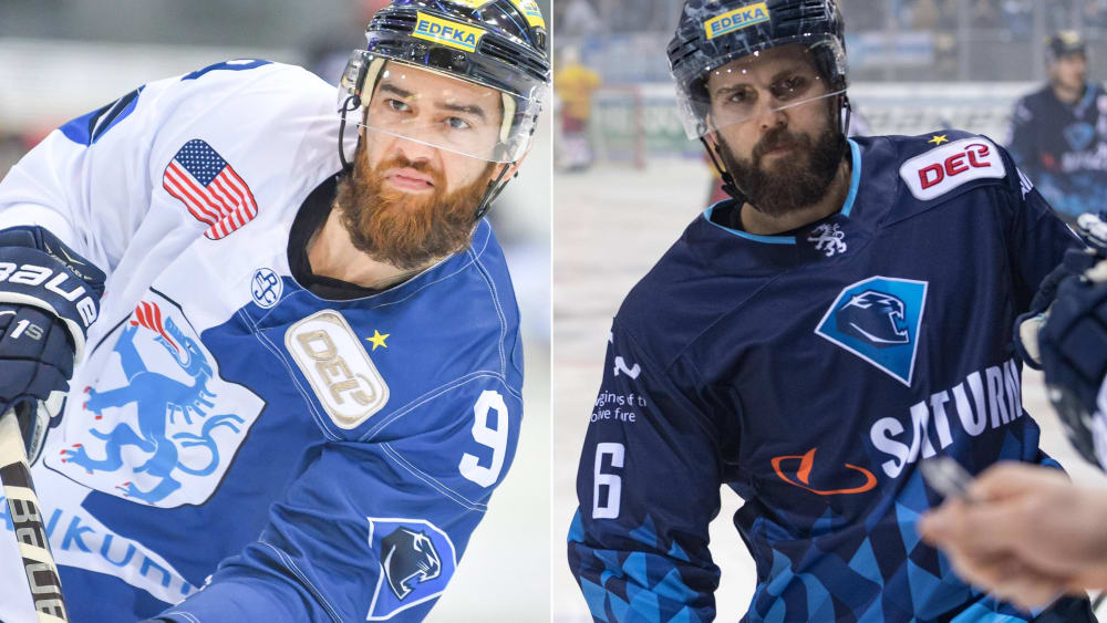 Ingolstadt verabschiedet auch D'Amigo und Seigo - kicker