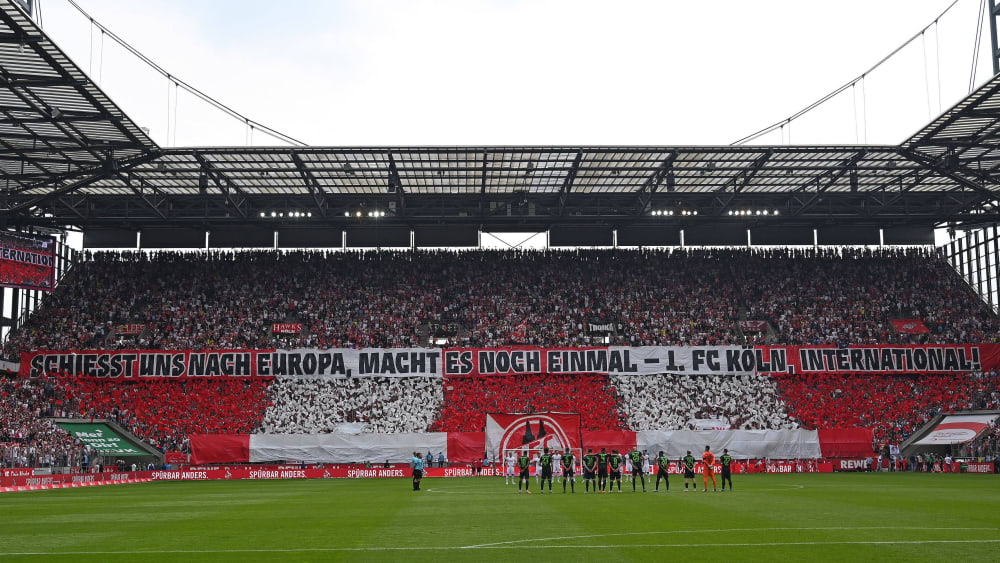 Kunstwerke in der Kurve: Die Choreos des Jahres 2022 - kicker