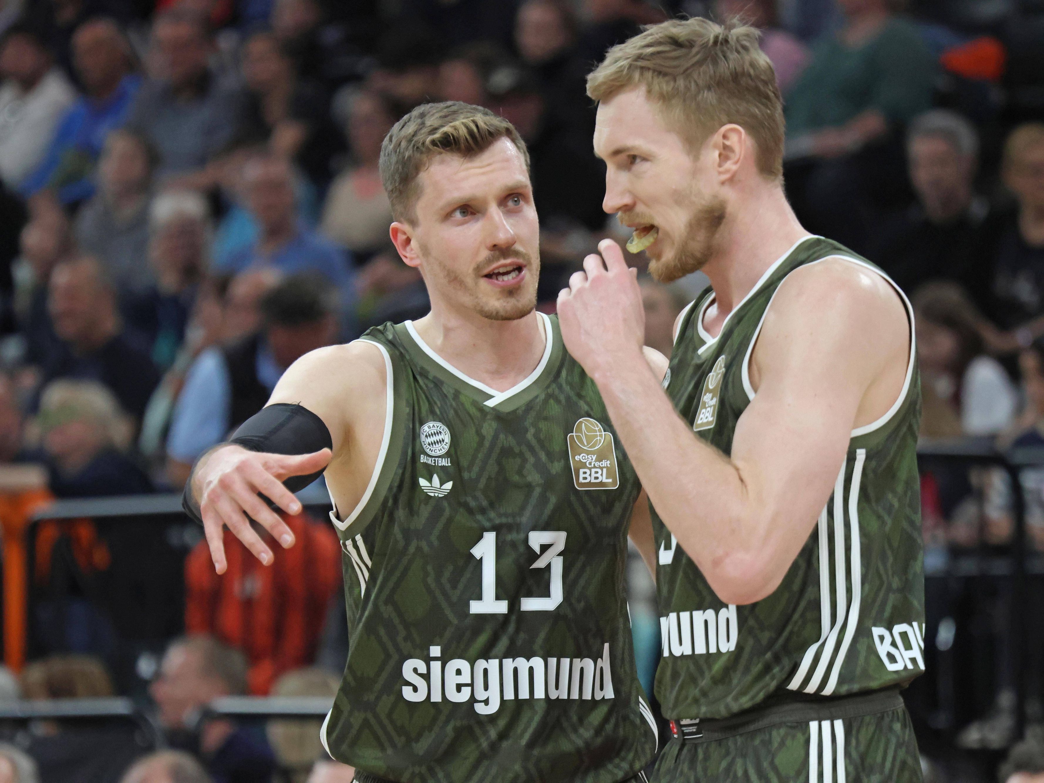 BBL, 26. Spieltag: Würzburg empfängt die Bayern - Hält Ulm Schritt ...