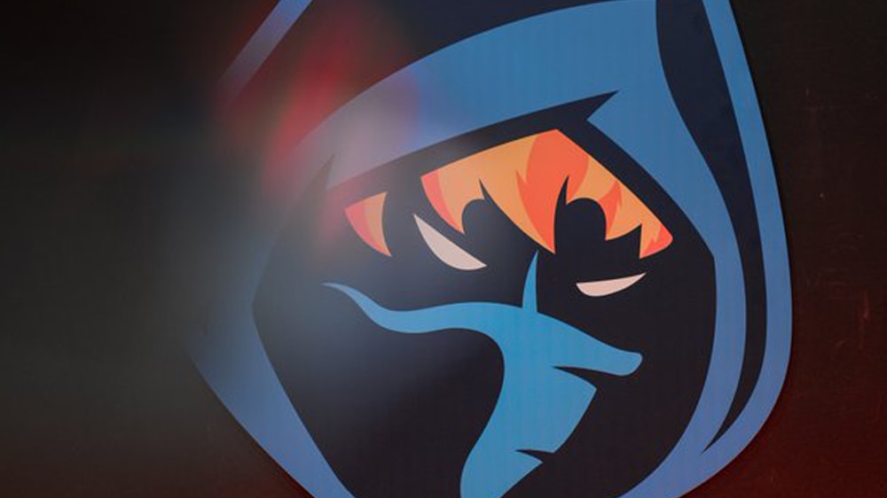 "Nicht rentabel" - Rogue zieht sich aus FIFA zurück - kicker