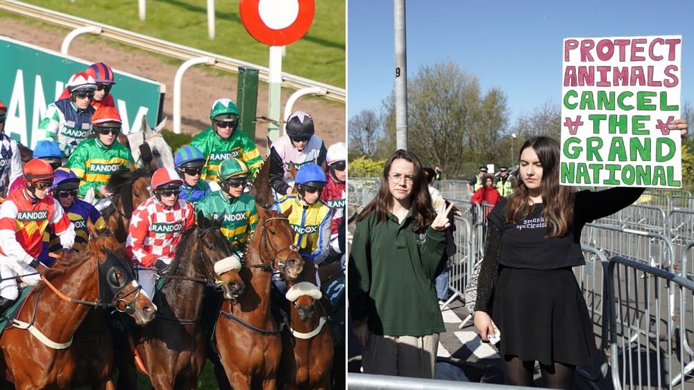 Grand National in Aintree: Kritik nach Tod von drei Pferden - kicker