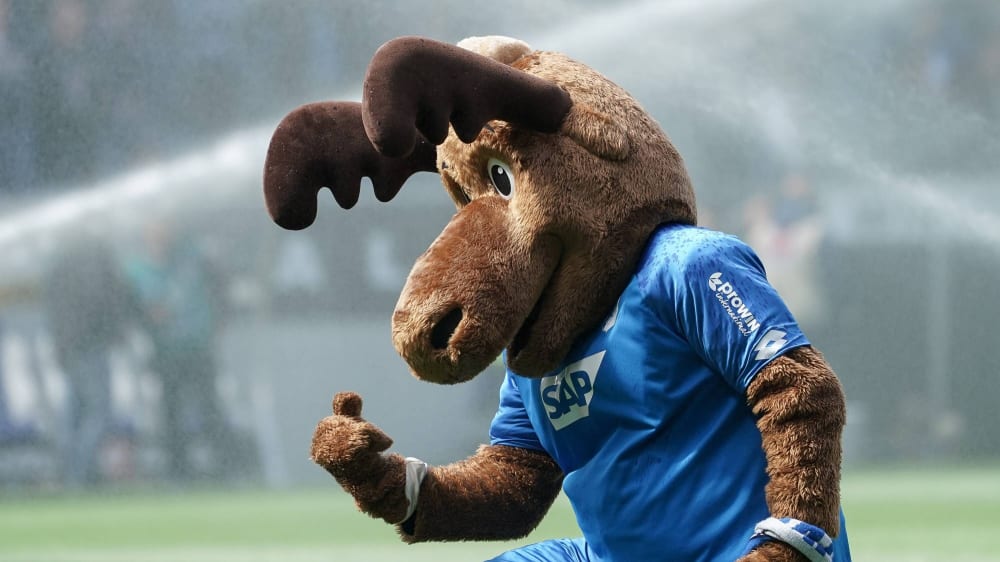 Die Maskottchen der Bundesligisten: Von Attila bis Hennes - kicker