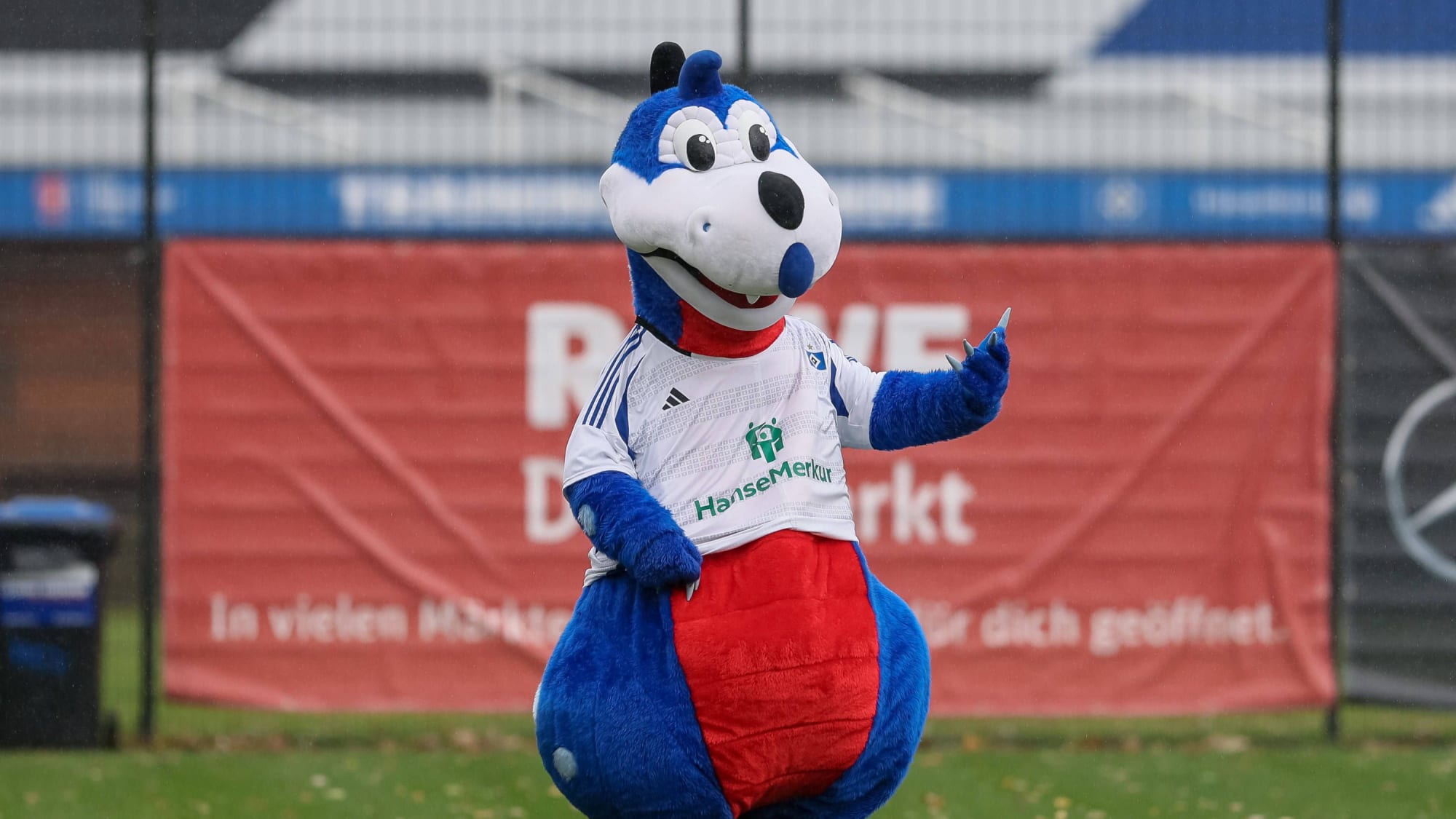 Die Maskottchen der Vereine - kicker