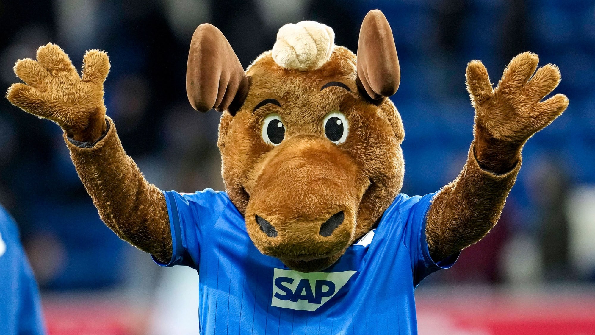 Die Maskottchen der Vereine - kicker