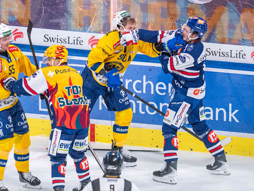 Eishockey | National League: ZSC Lions vs. HCD - Statistik spricht ...
