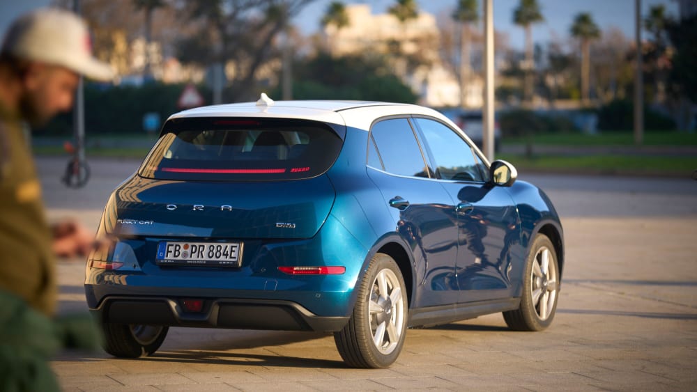 Bilderstrecke: Ora Funky Cat - kicker