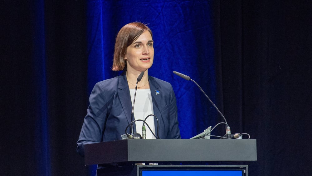 Hertha BSC: Noske wird Vize - Pantelic fällt durch - kicker