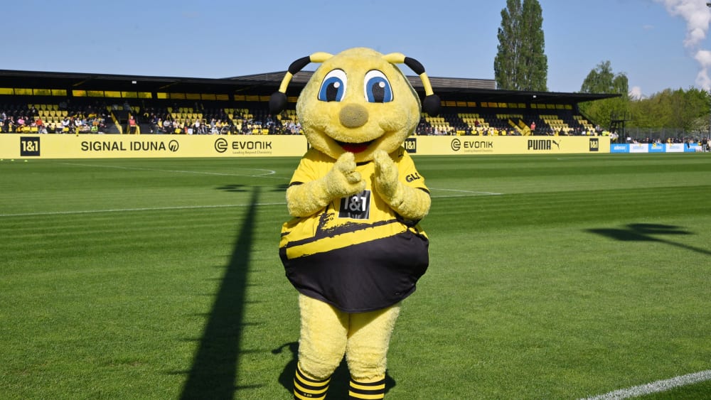 Die Maskottchen der Vereine - kicker