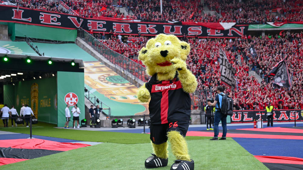 Die Maskottchen der Vereine - kicker