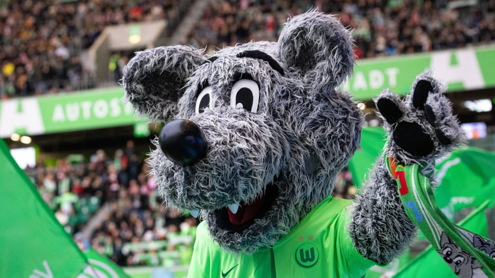 Die Maskottchen der Vereine - kicker