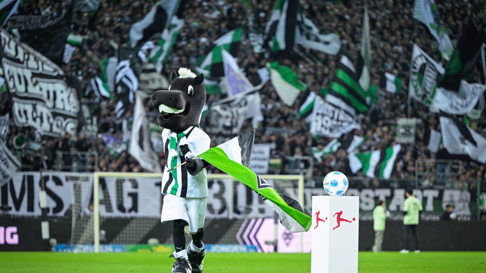 Die Maskottchen der Vereine - kicker